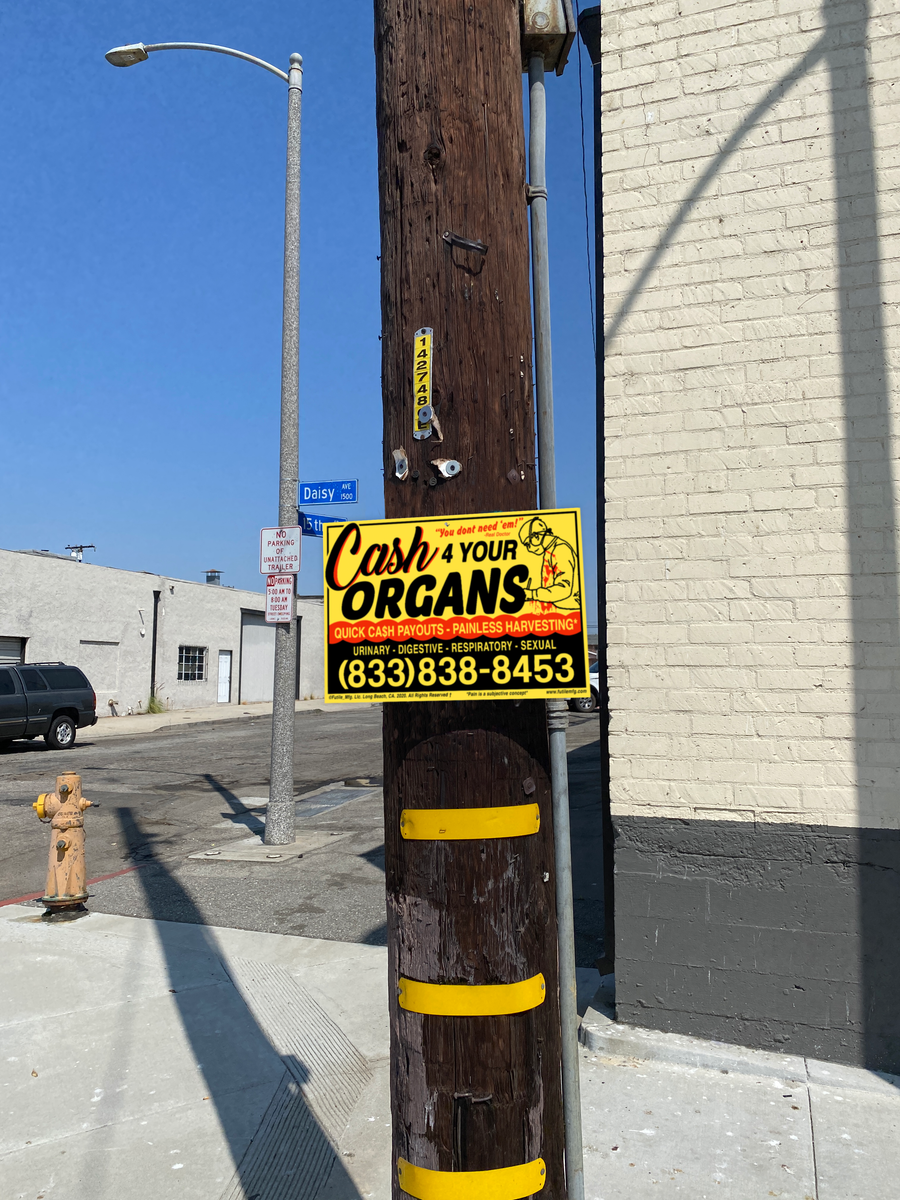 organsign2_1200x1200.png?v=1690758958